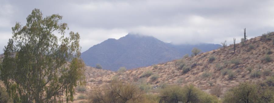 Fat Ox | Buckeye, AZ, United States | Nov 20, 2026 (Fri)